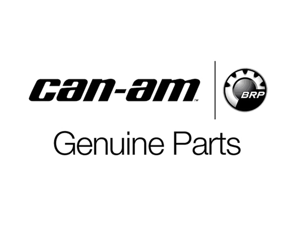 BRP OEM lock washer 8 mm: AOMC.mx